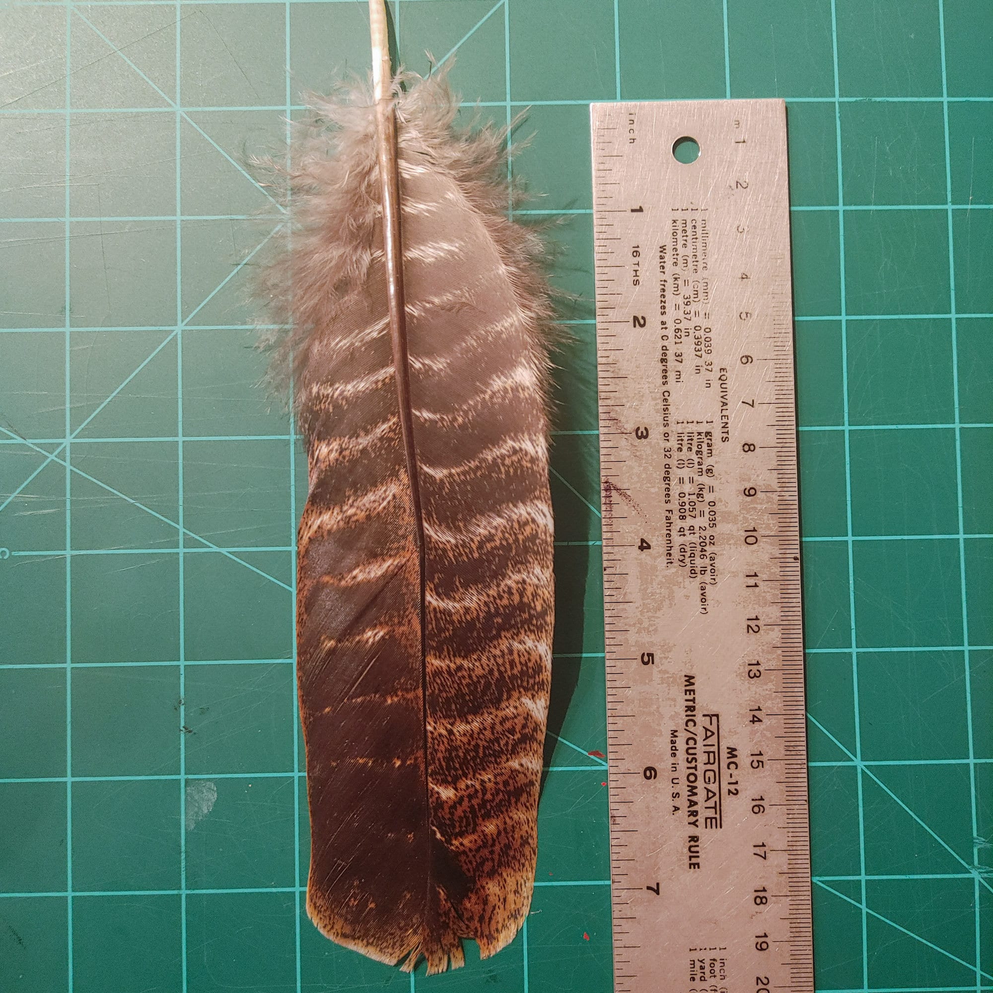 CUSTOM Painted Turkey Feather Commissions - Etsy