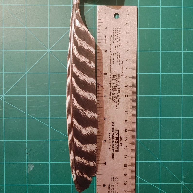CUSTOM Painted Turkey Feather Commissions - Etsy