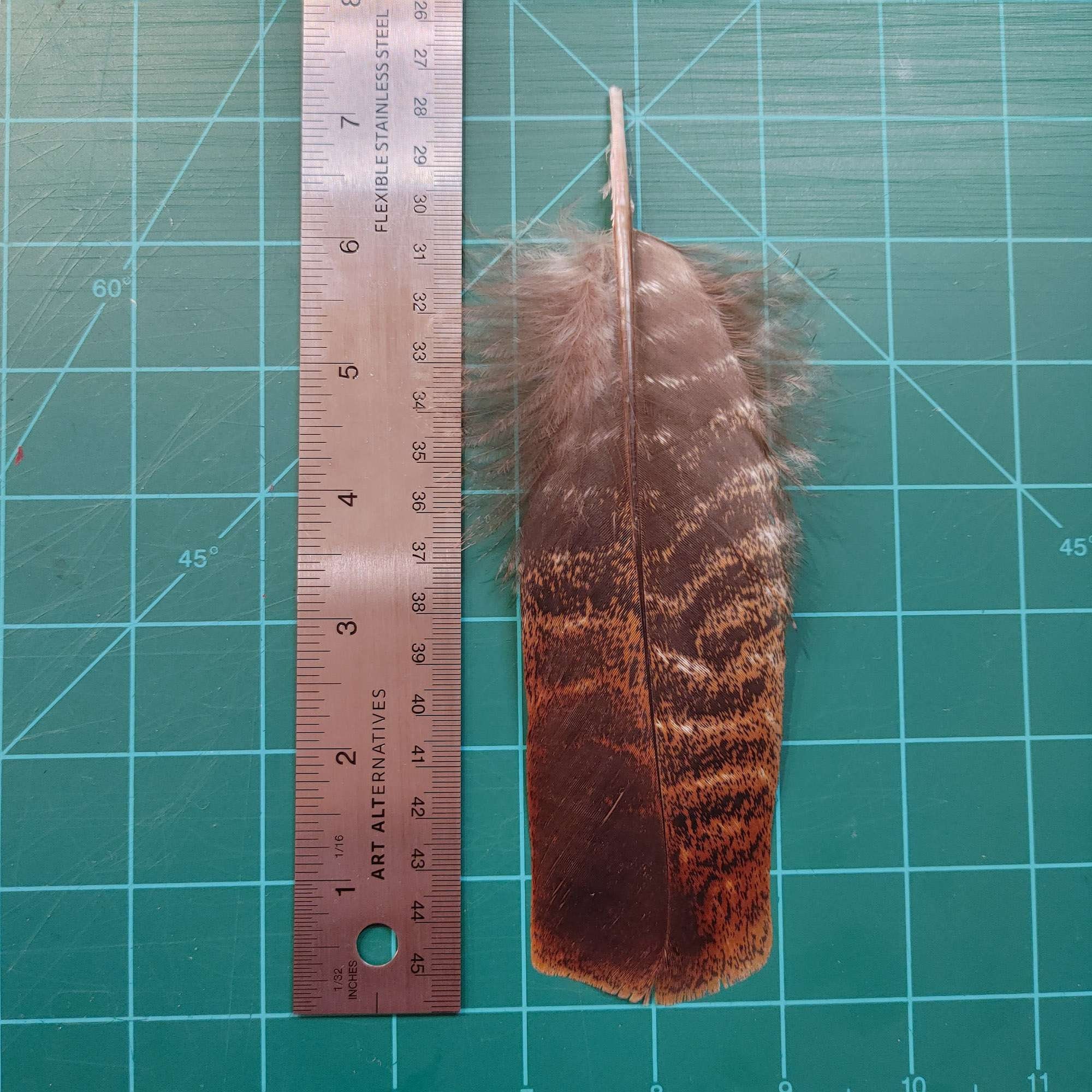 CUSTOM Painted Turkey Feather Commissions - Etsy
