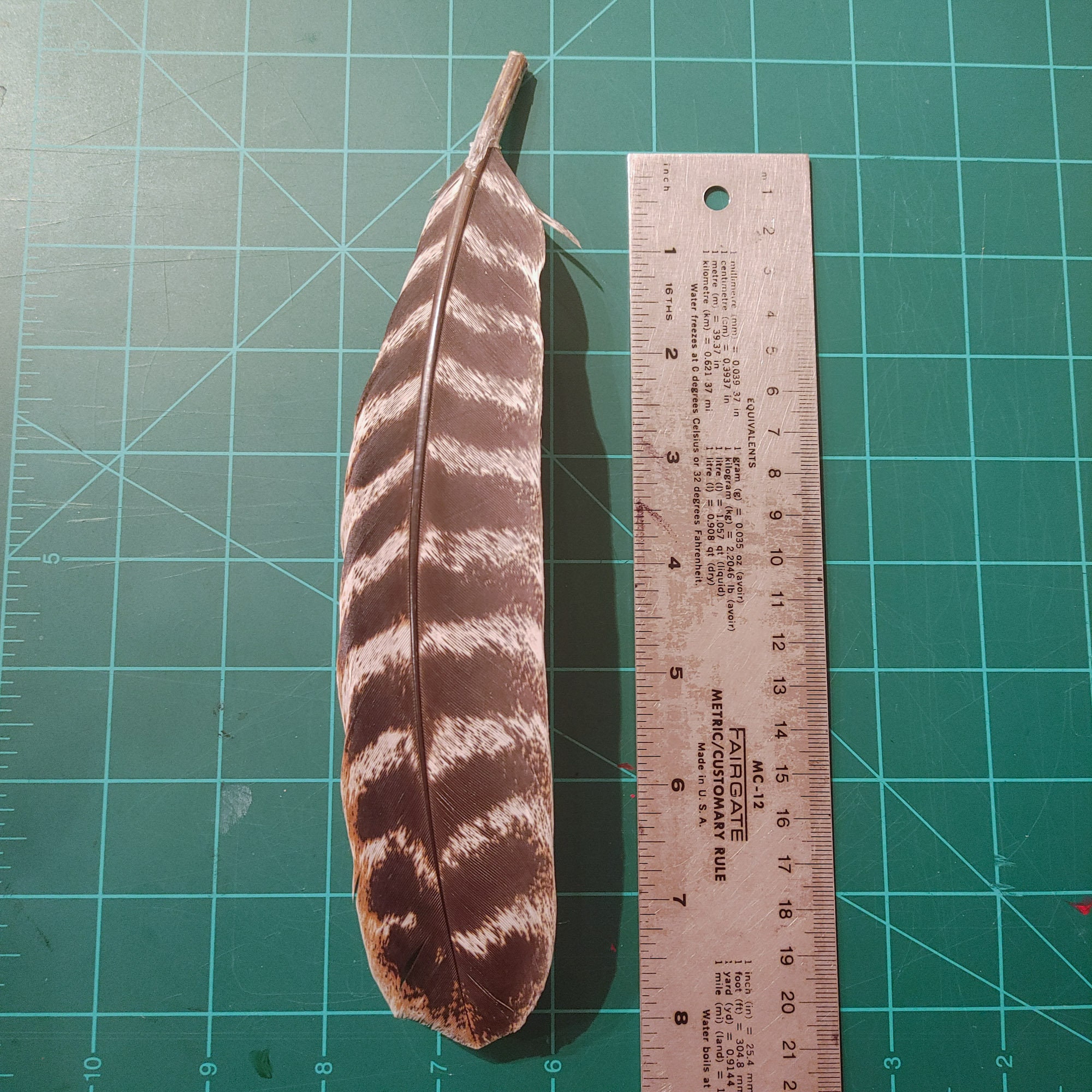 CUSTOM Painted Turkey Feather Commissions - Etsy