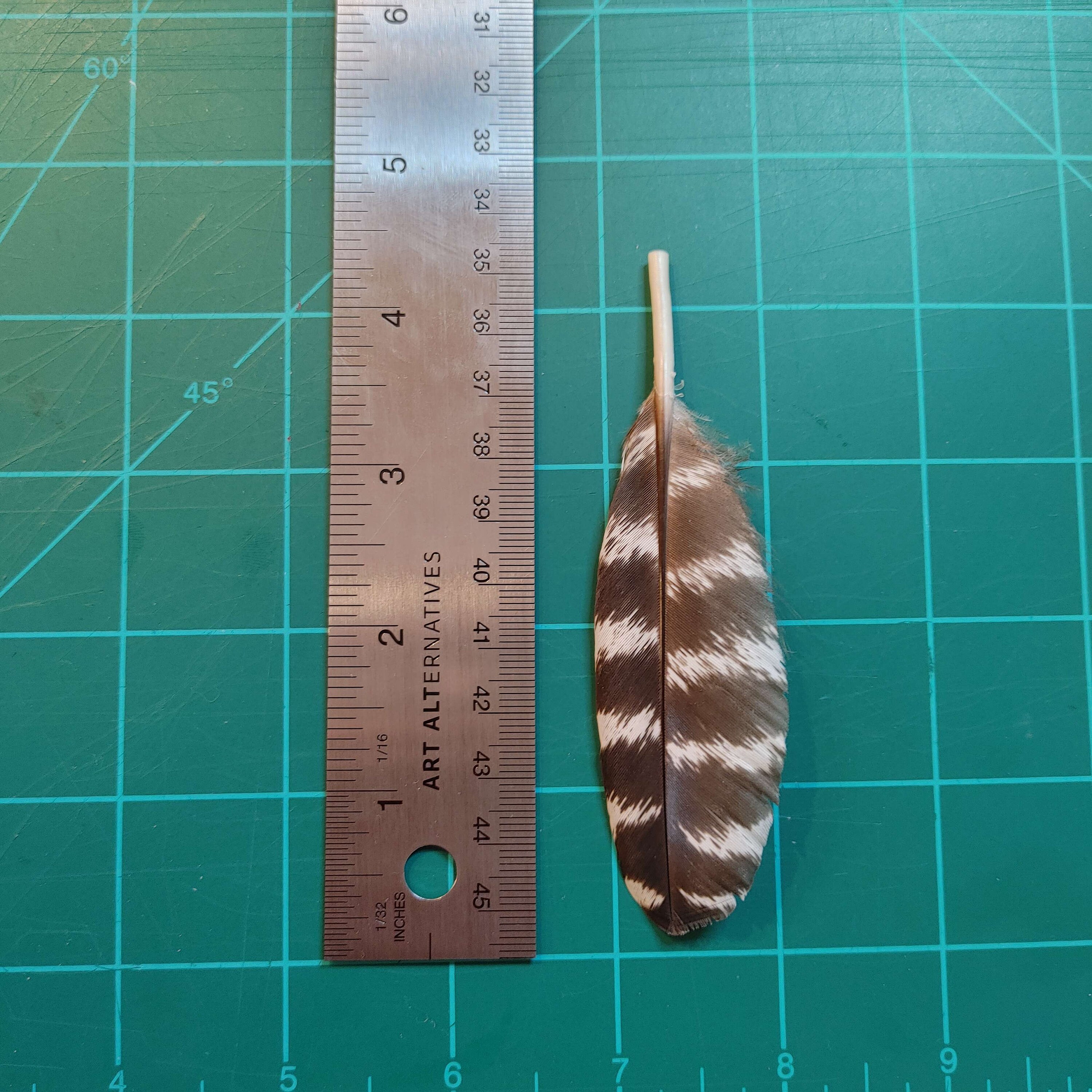 CUSTOM Painted Turkey Feather Commissions - Etsy