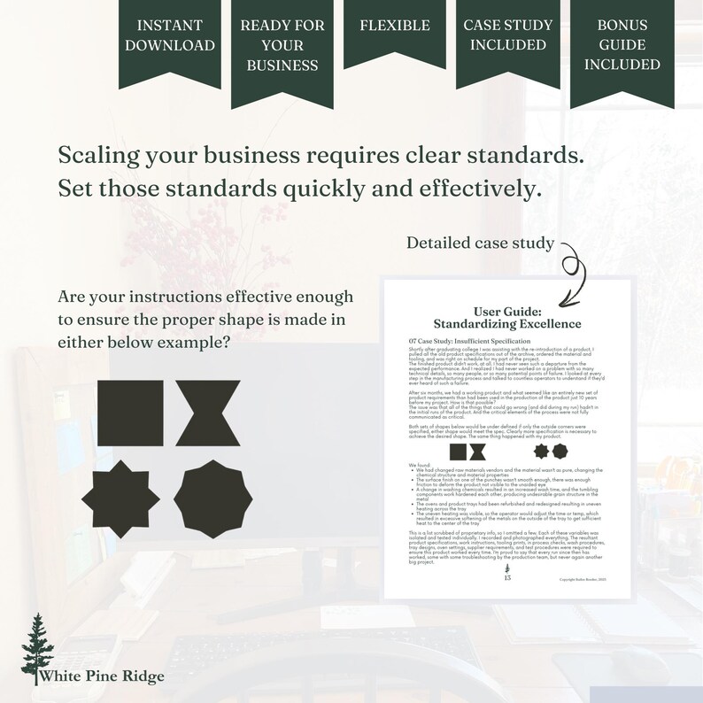 Standard Operating Procedure/work Instruction Guide and Template ...