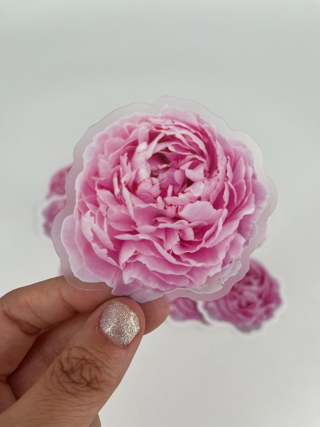 Peony Flower Sticker 3x3in - Etsy
