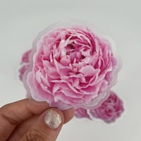 Pink Peonies Sticker - Etsy