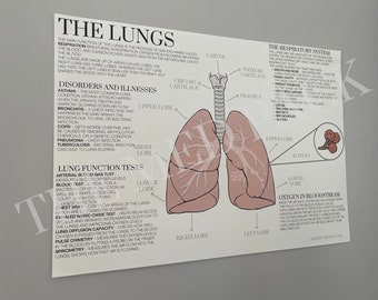 The Brain A3 Medical Notes Poster - Etsy