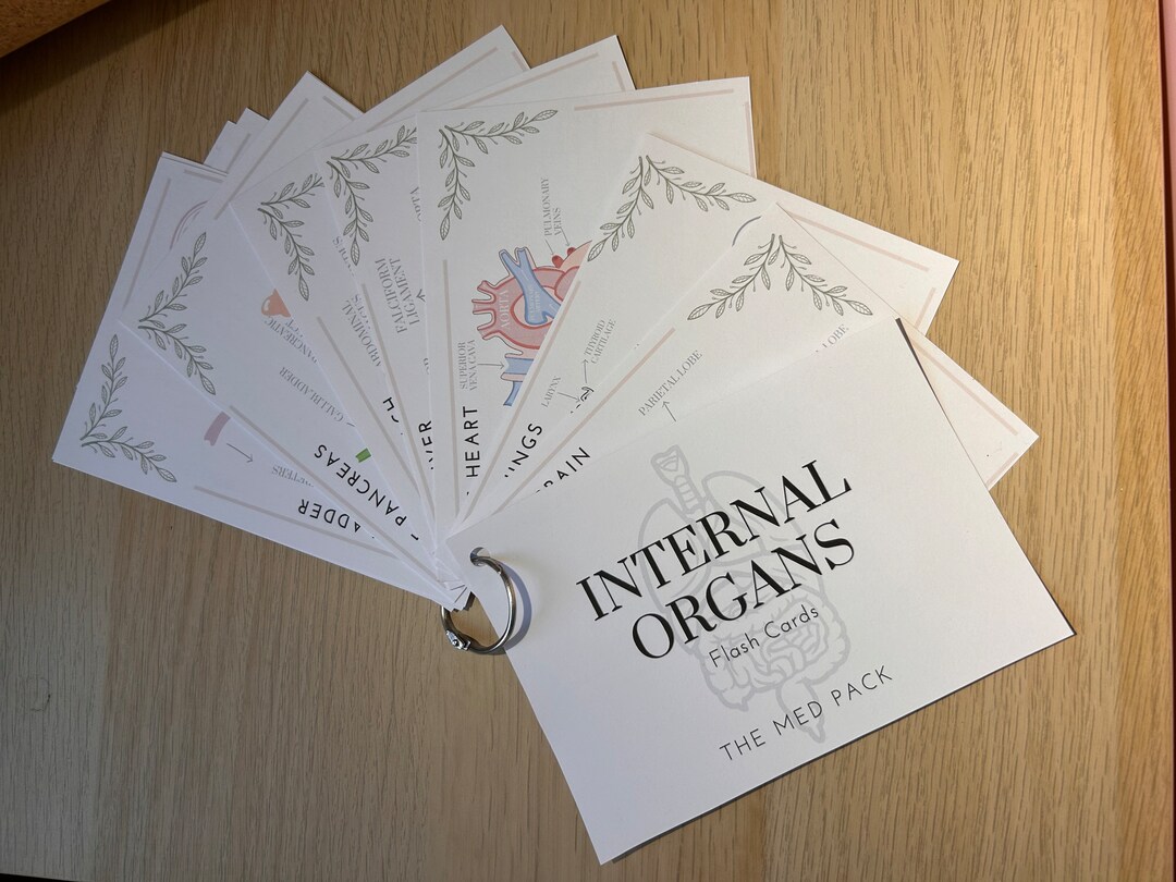 Internal Organs Summary Flashcards for Medical Students, Nurses ...