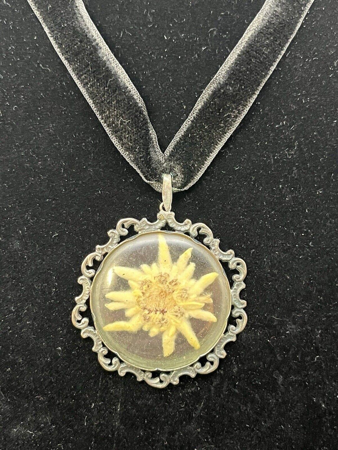 Antique Edelweiss Dried Sterling Silver Pendant Black Ribbon SEE PICS ...