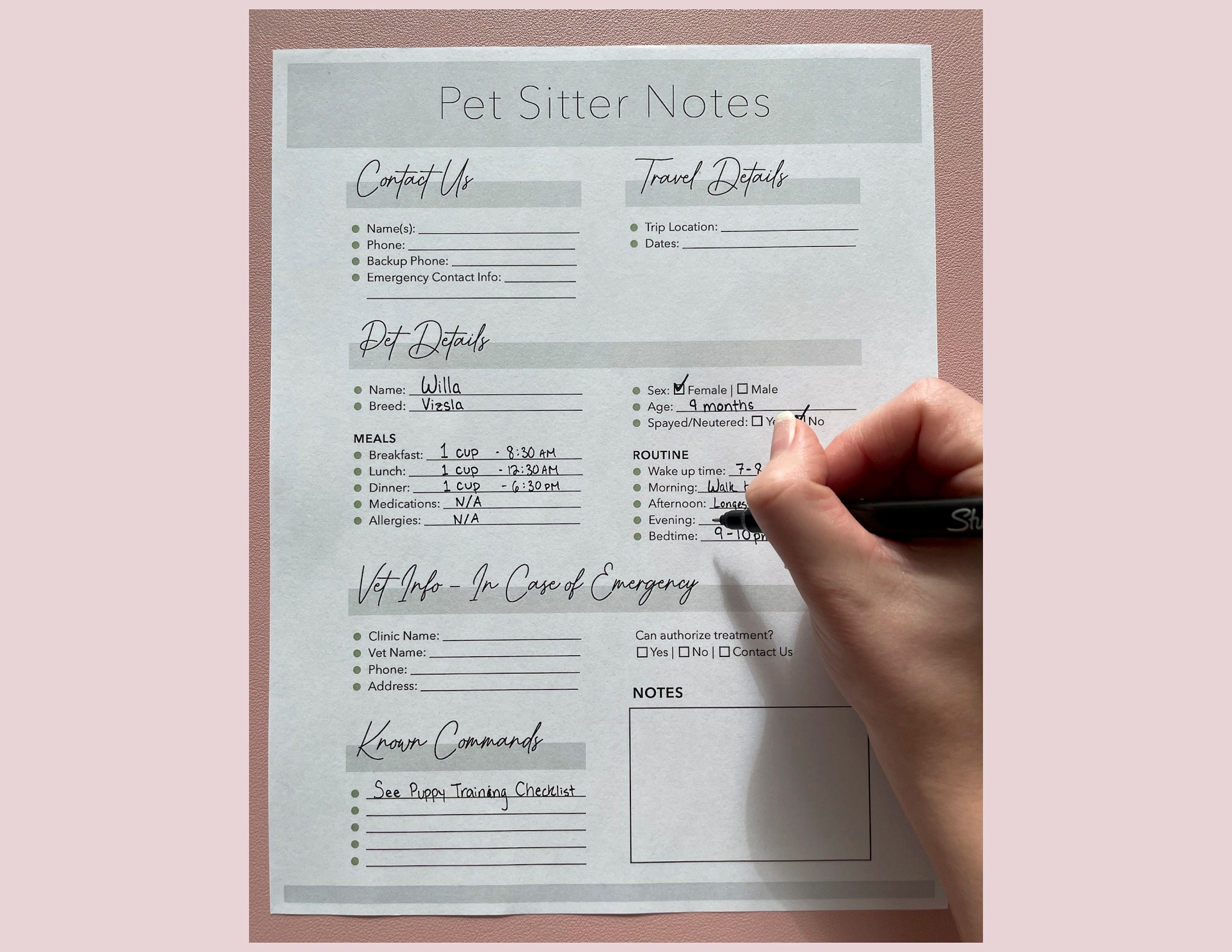 Pet Sitter Notes Template for Dog Sitter Instructions for - Etsy