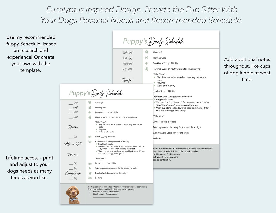Puppy's Daily Schedule With Template | Printable PDF | Customize ...
