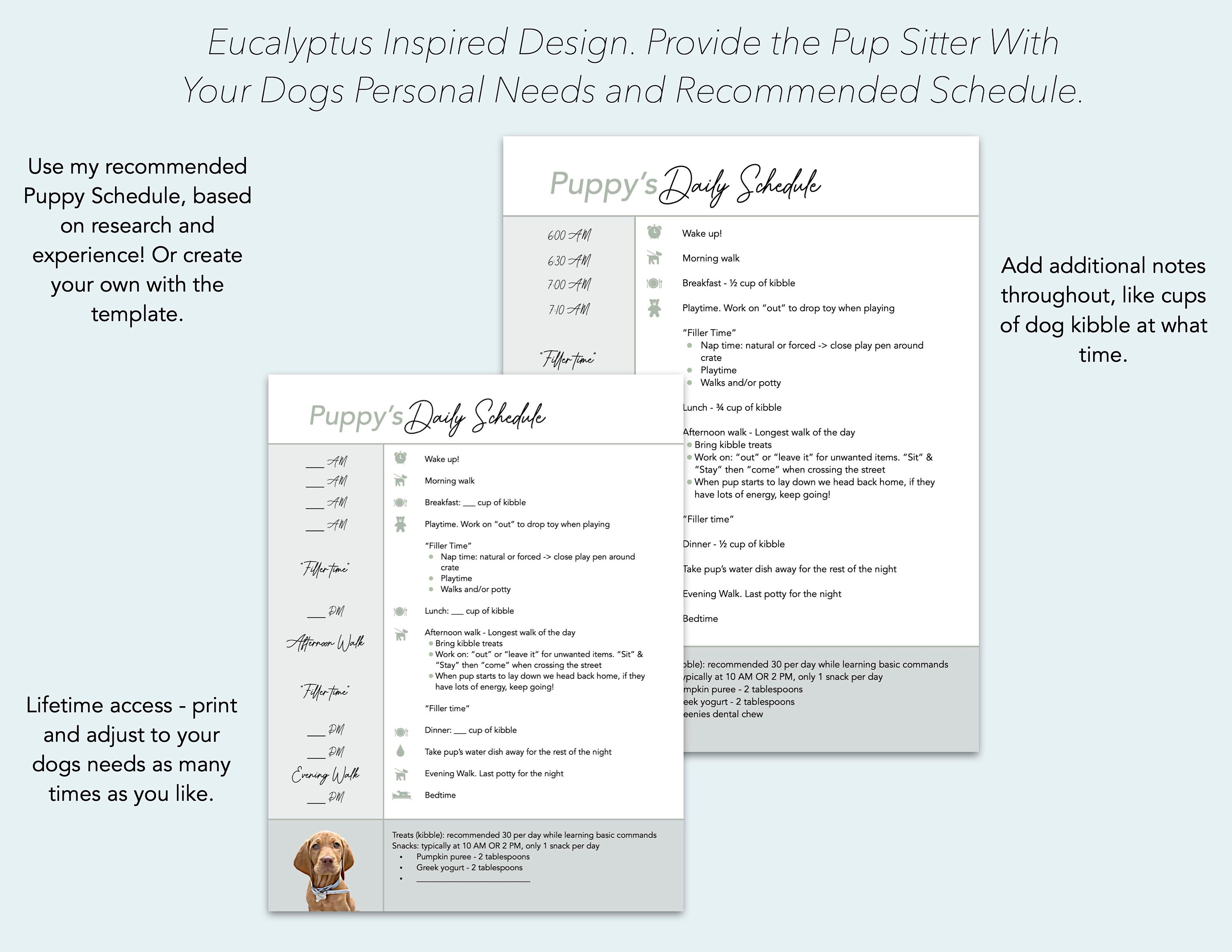 Puppy's Daily Schedule With Template | Printable PDF | Customize ...