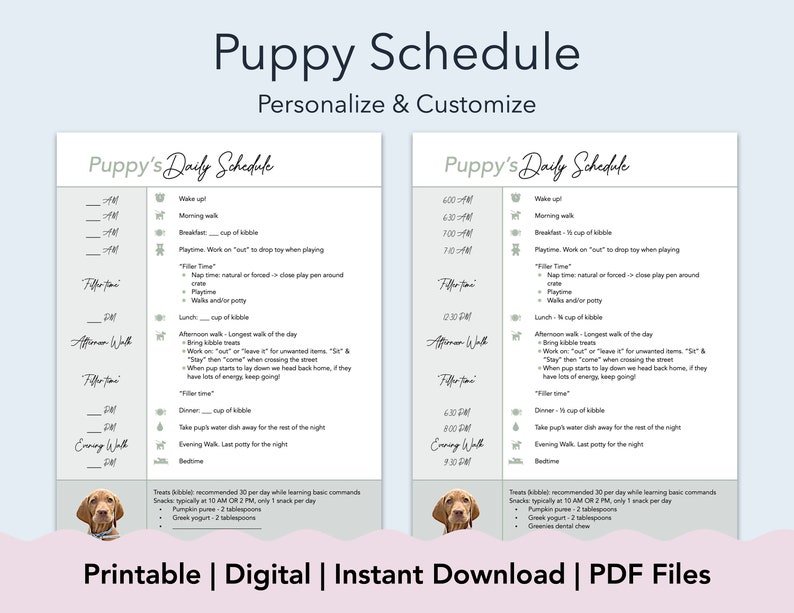 Puppy's Daily Schedule With Template | Printable PDF | Customize ...