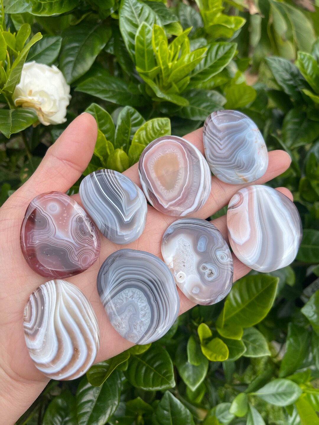 24 Botswana Agate Smooth Stones for Hannah - Etsy