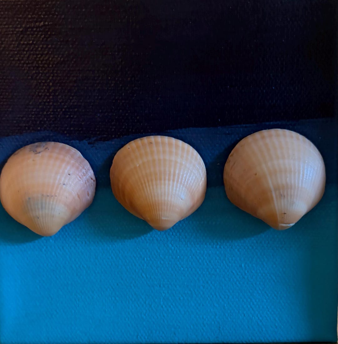 Ocean Shell Art (4) - Etsy