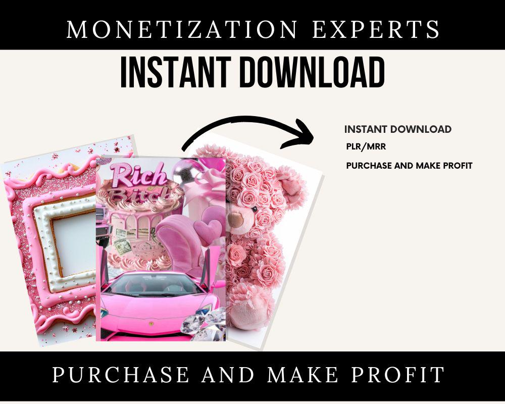 100+ Pink Aesthetic Canva Elements | PLR/MRR Included | Digital Pink ...