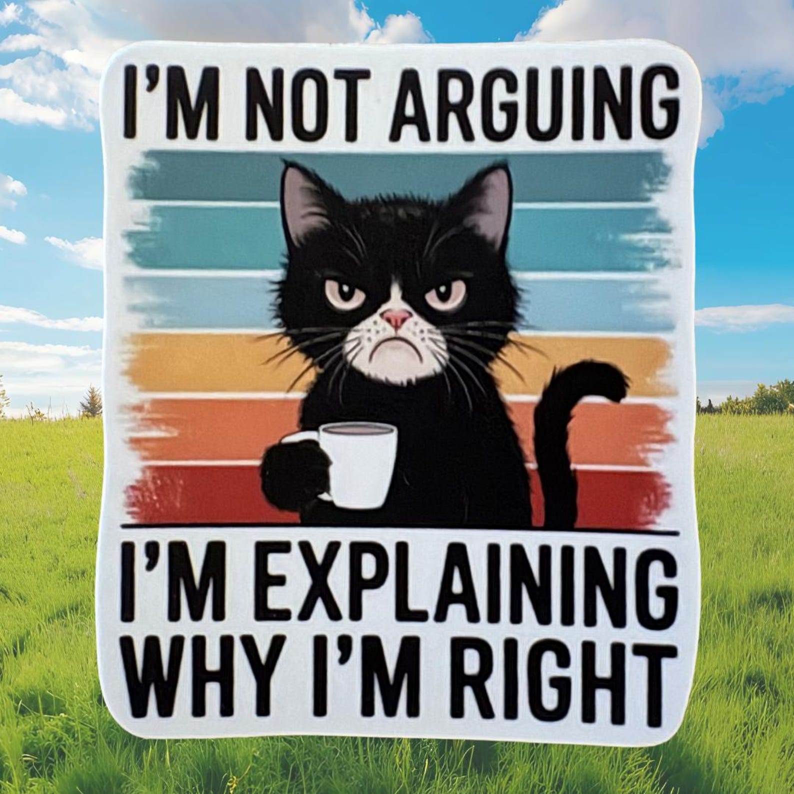 Funny Arguing Cat Sticker: I'm Explaining Why I'm Right, Water ...