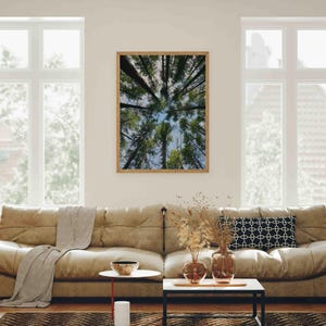 Pacific Northwest Pine Trees Art Print, Forest Landscape Printable, PNW ...