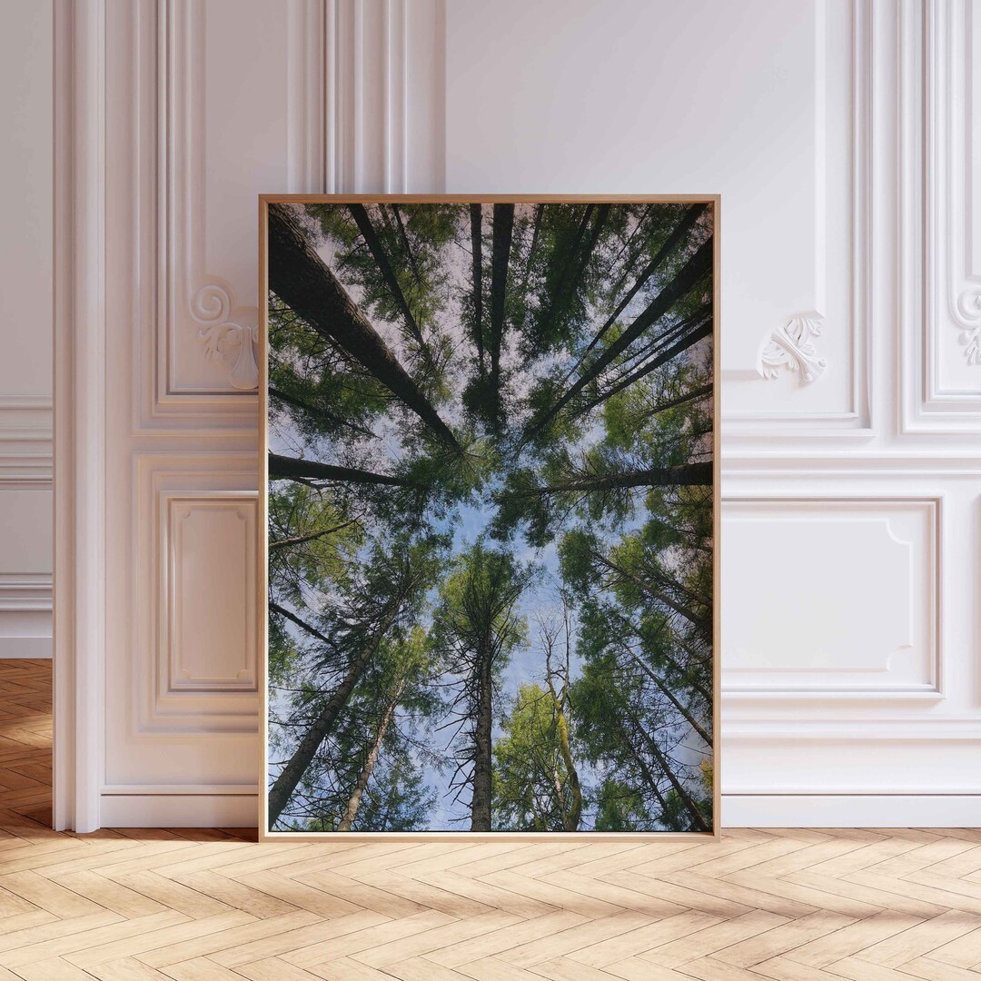 Pacific Northwest Pine Trees Art Print, Forest Landscape Printable, PNW ...