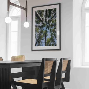 Pacific Northwest Pine Trees Art Print, Forest Landscape Printable, PNW ...