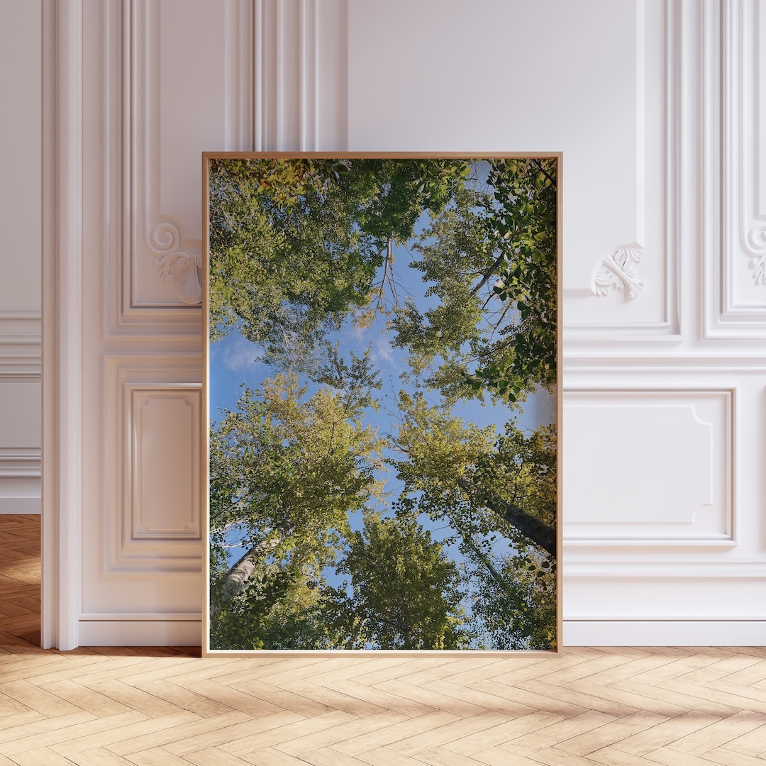 Washington Tree Canopy Art Print, Tranquil Yellow and Green Leaves ...