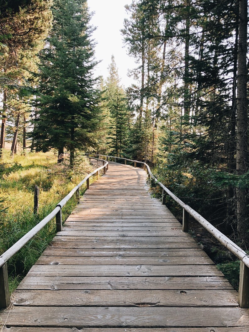 Bend Oregon Nature Trail Art Print Download, Forest Path Photo, Pacific ...
