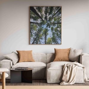 Pacific Northwest Pine Trees Art Print, Forest Landscape Printable, PNW ...