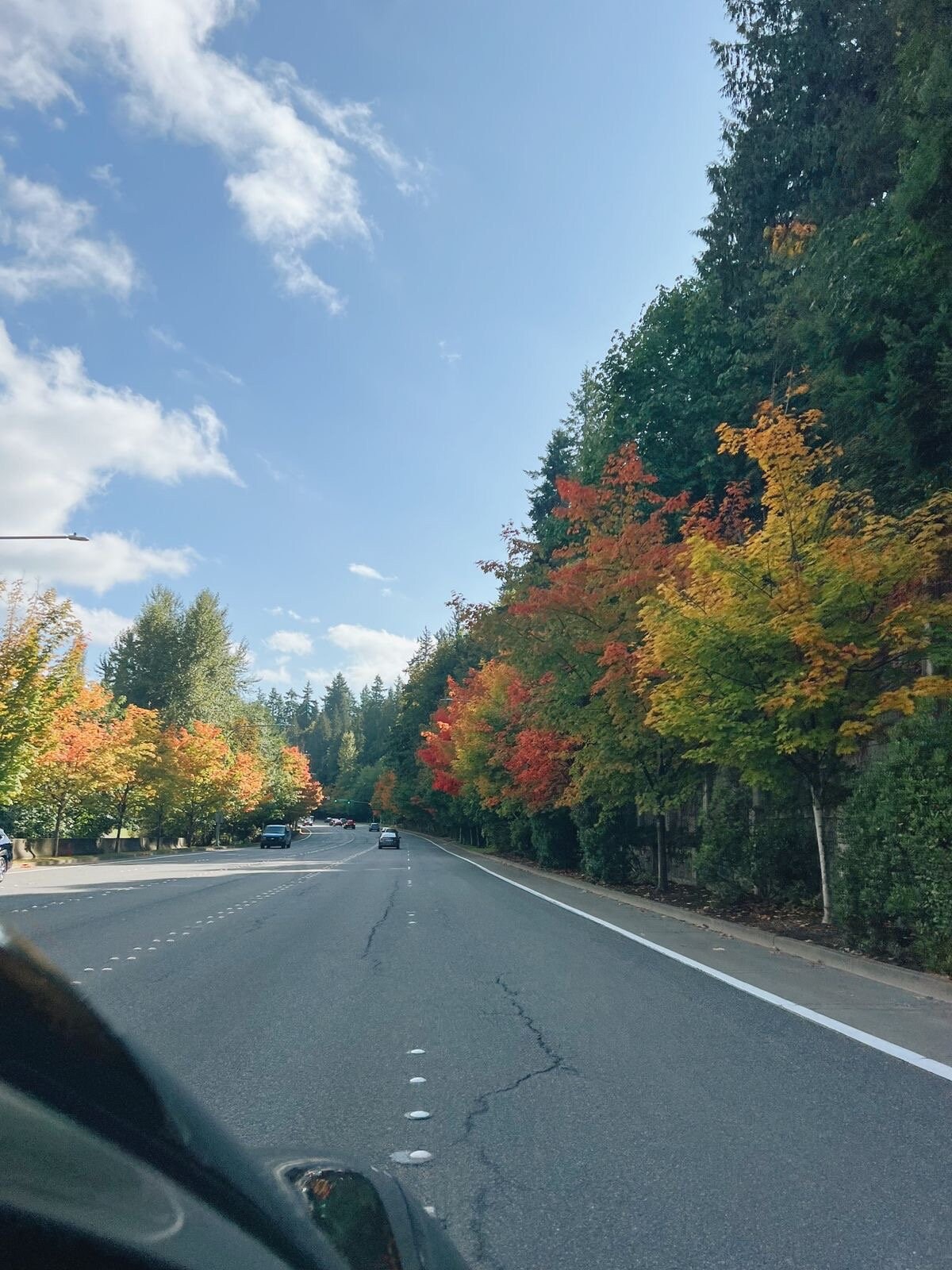 Seattle Fall Foliage Drive Art Print Download, Beautiful Autumn Day ...