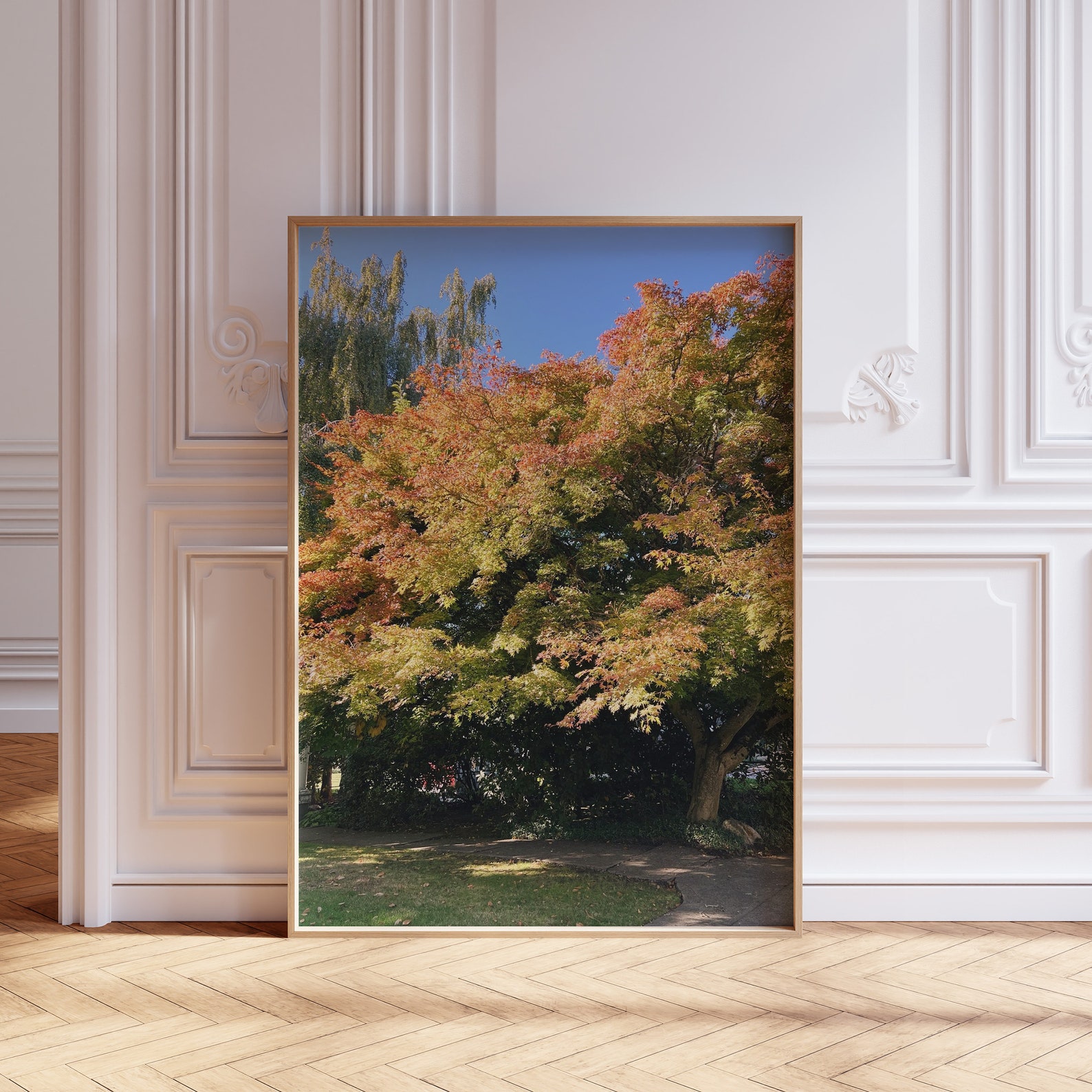 Vibrant Autumn Colors, PNW Nature Decor, Instant Download Fall Foliage ...