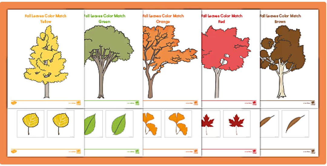 Fall Leaves Color Match Activity - Etsy
