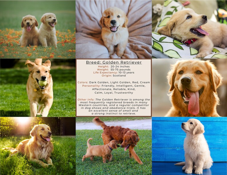 2024 Calendar, Photo Book, Gift for Her, Mom, Mother, Planner ...