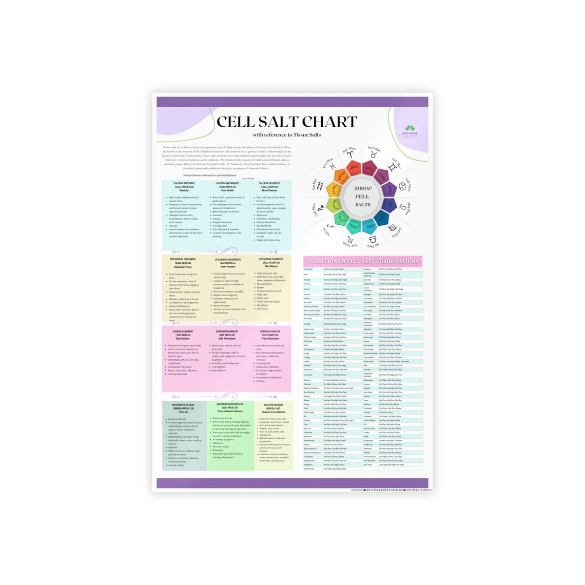Cell Salt Tissue Salt Chart Poster - Etsy