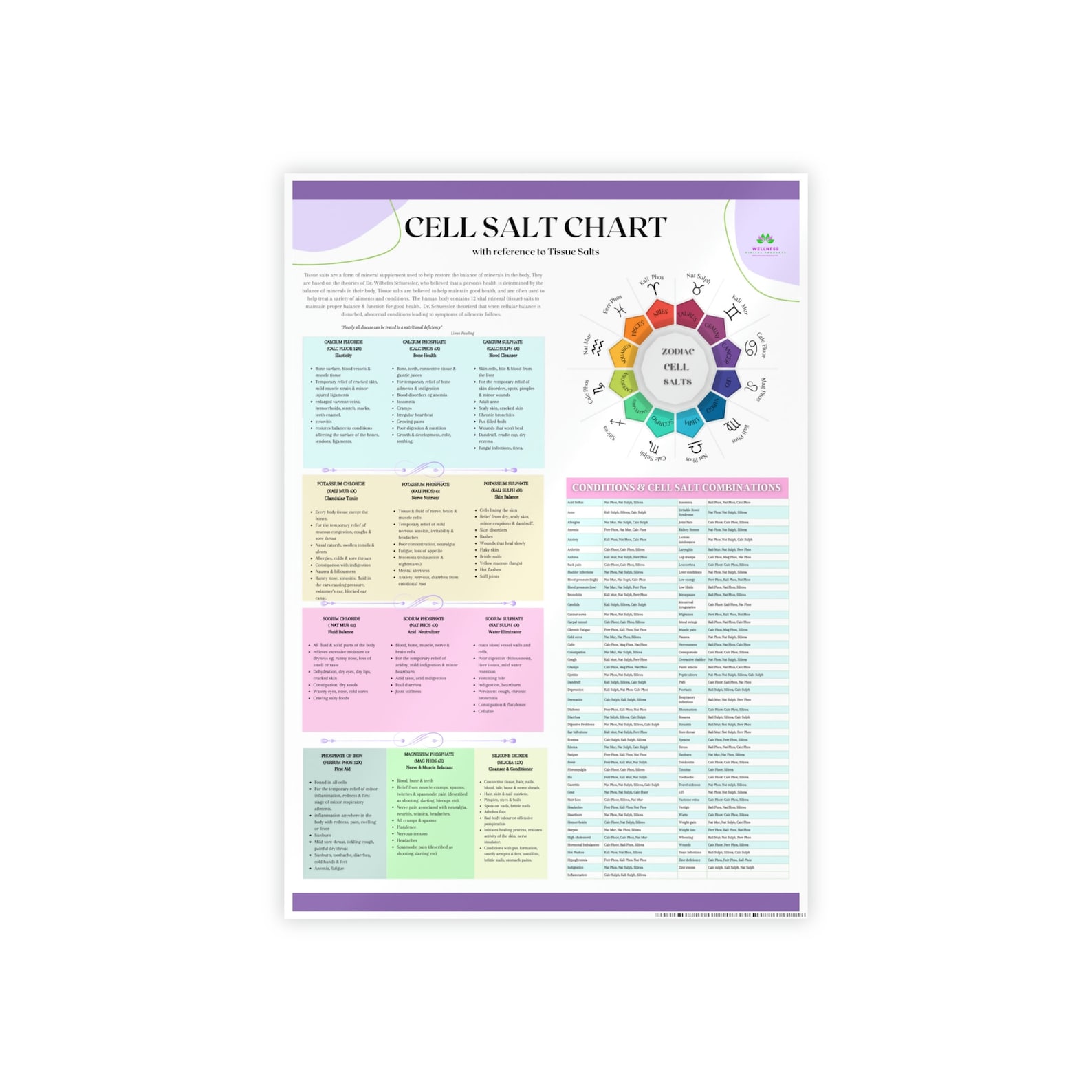 Cell Salt Tissue Salt Chart Poster - Etsy