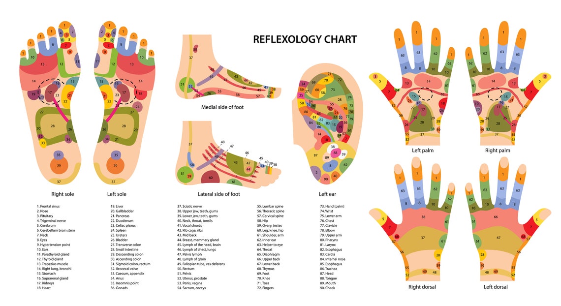 Reflexology Chart Poster Size 33x18 Hands, Feet, Ear - Etsy