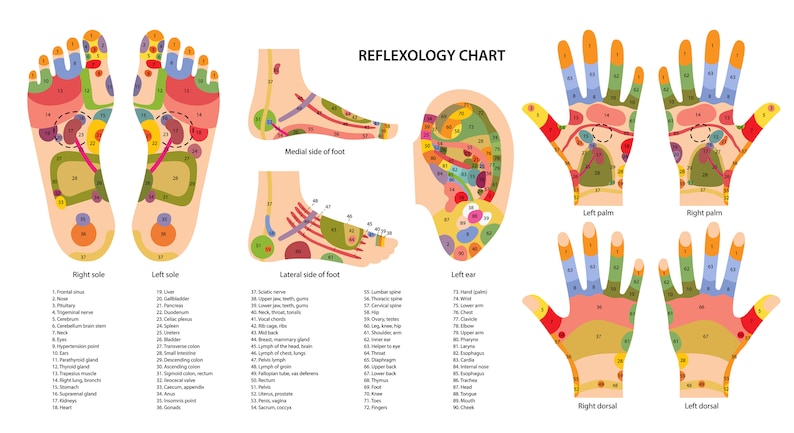 Reflexology Chart Poster Size 33x18 Hands, Feet, Ear - Etsy