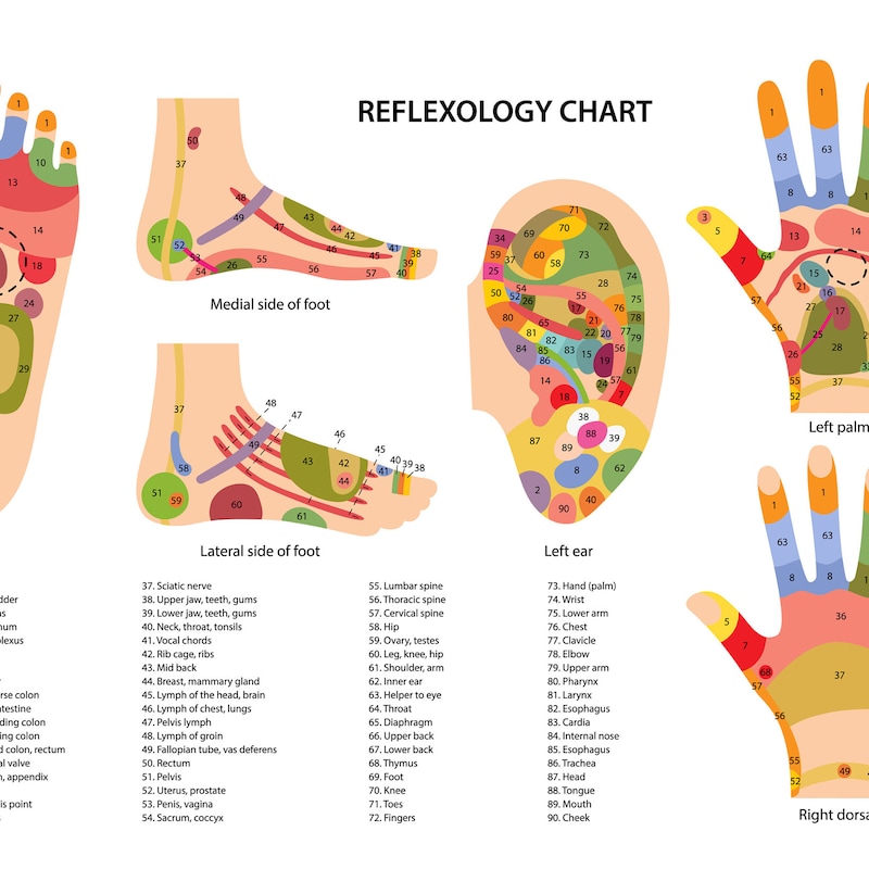Reflexology Poster - Etsy