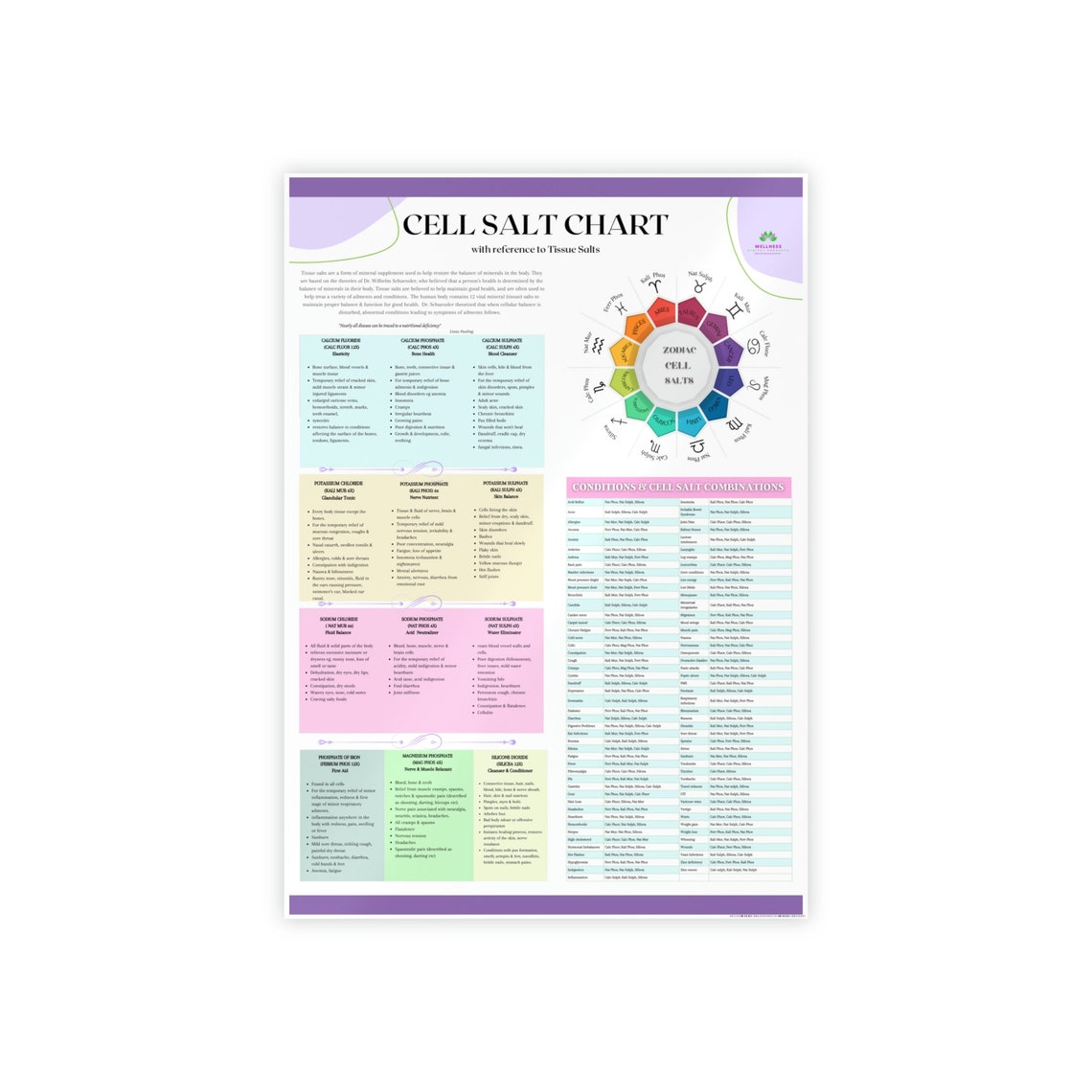 Cell Salt Tissue Salt Chart Poster - Etsy