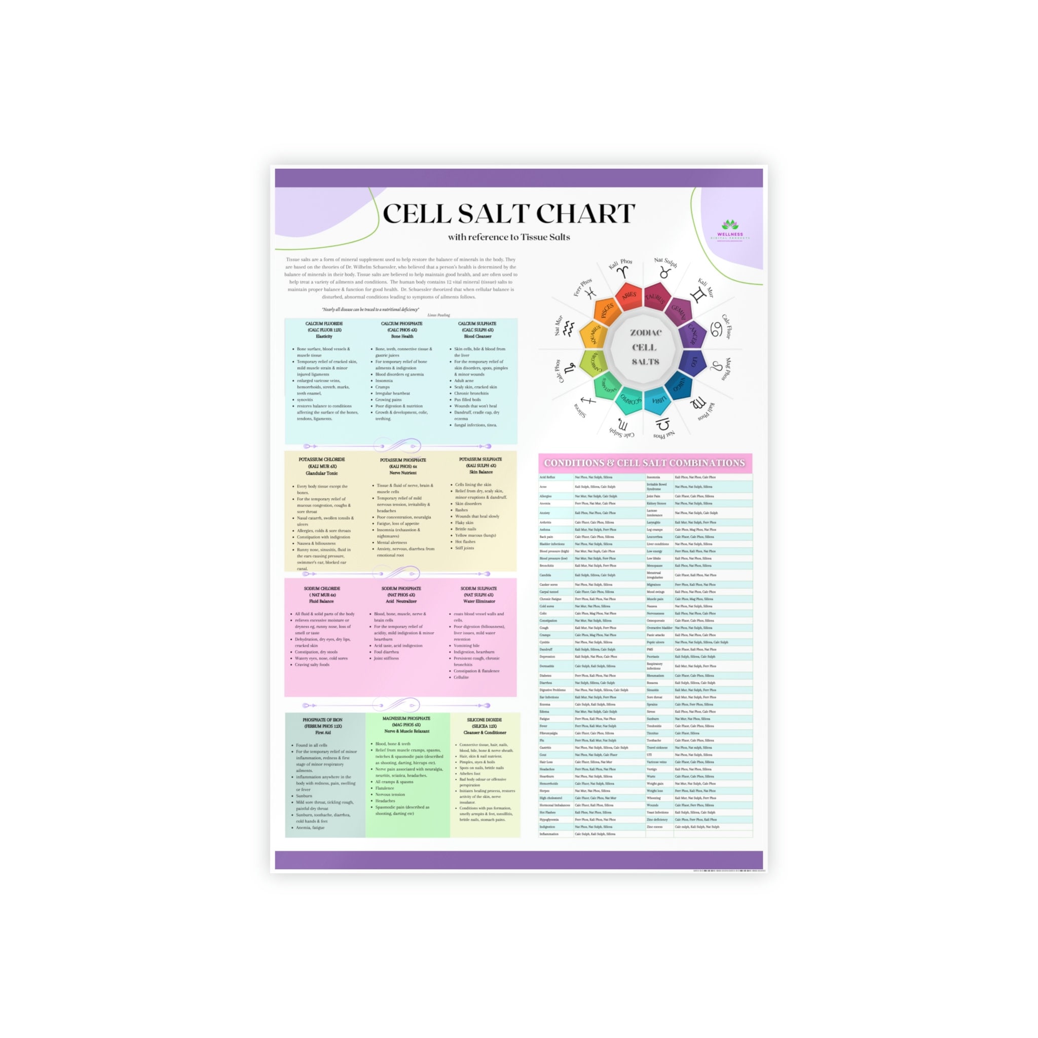 Cell Salt Tissue Salt Chart Poster - Etsy