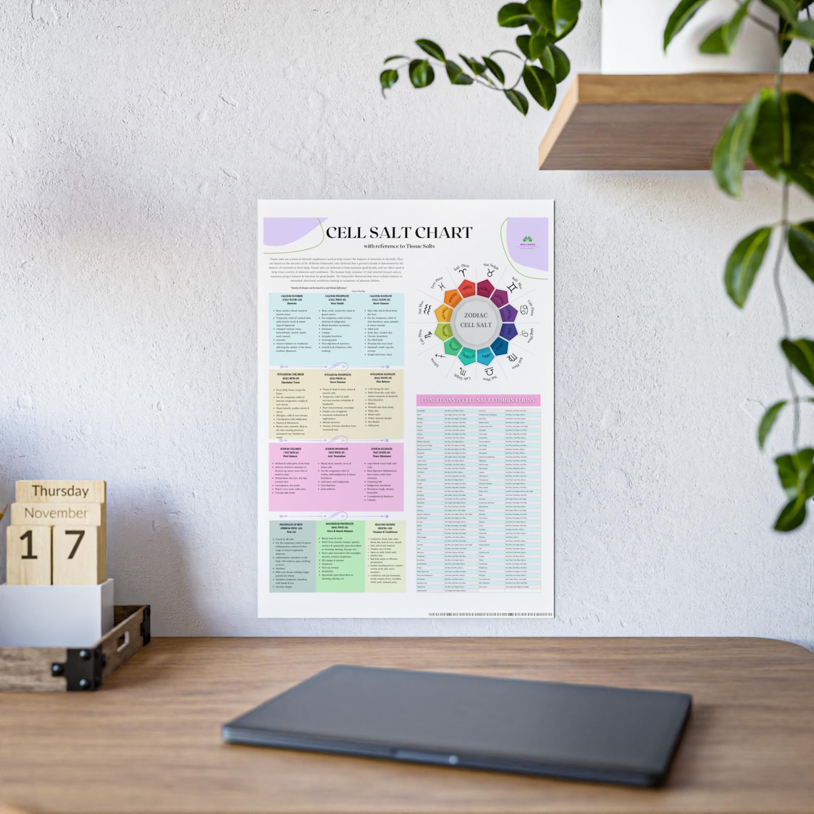 Cell Salt Chart, Tissue Salt Chart, Homeopathic Cell Salts, Holistic ...