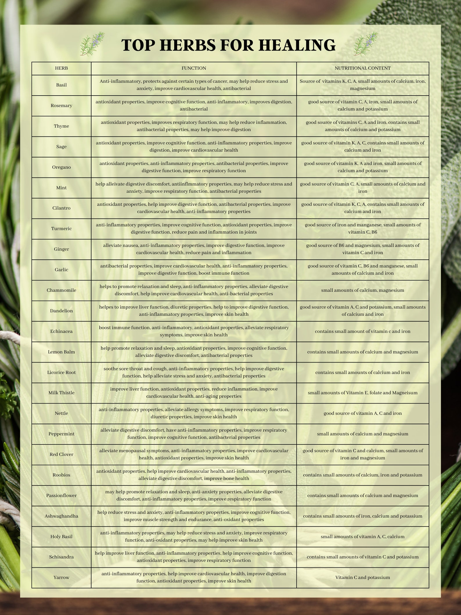 Top 25 Herbs for Healing Poster Size 18 X 24 - Etsy