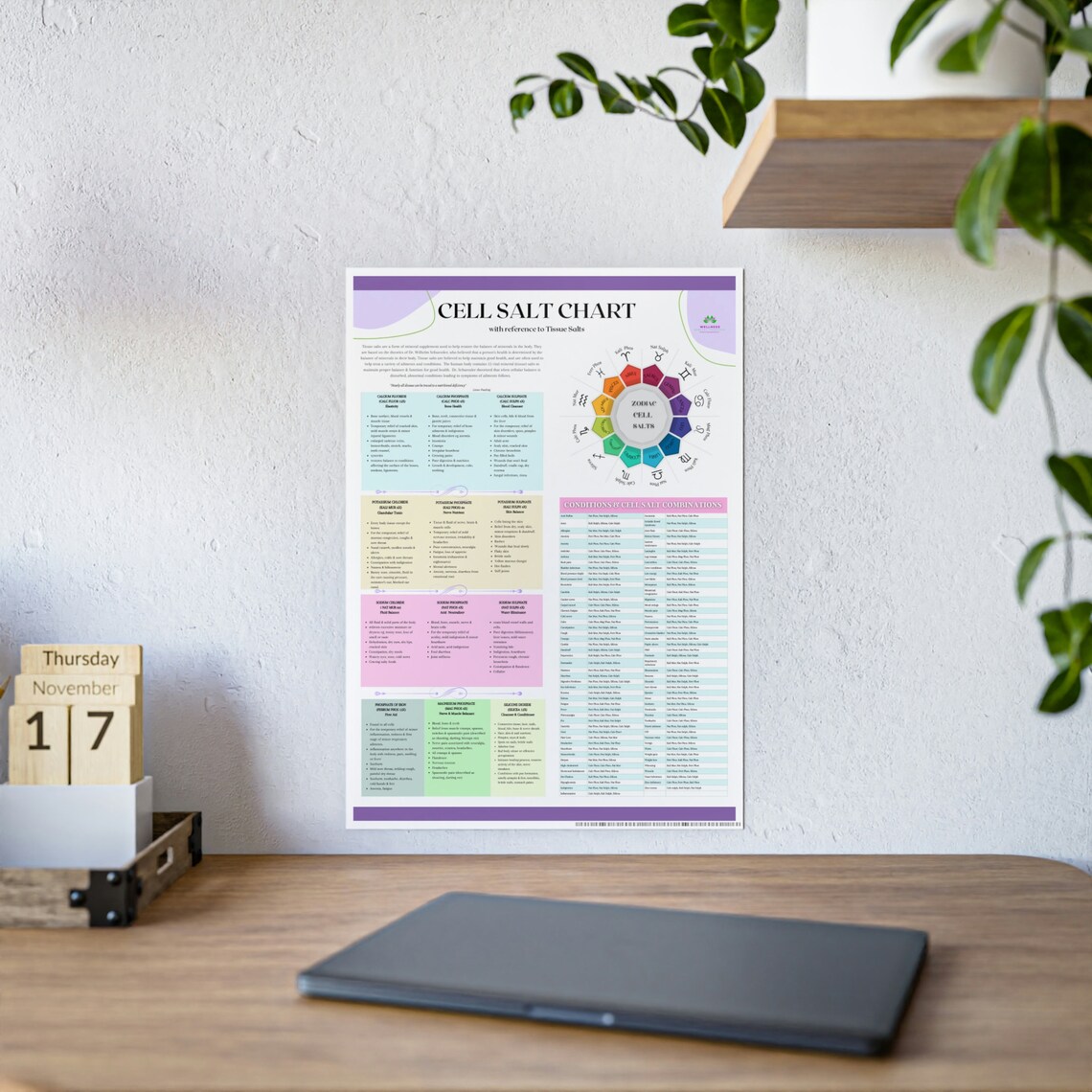 Cell Salt Tissue Salt Chart Poster - Etsy