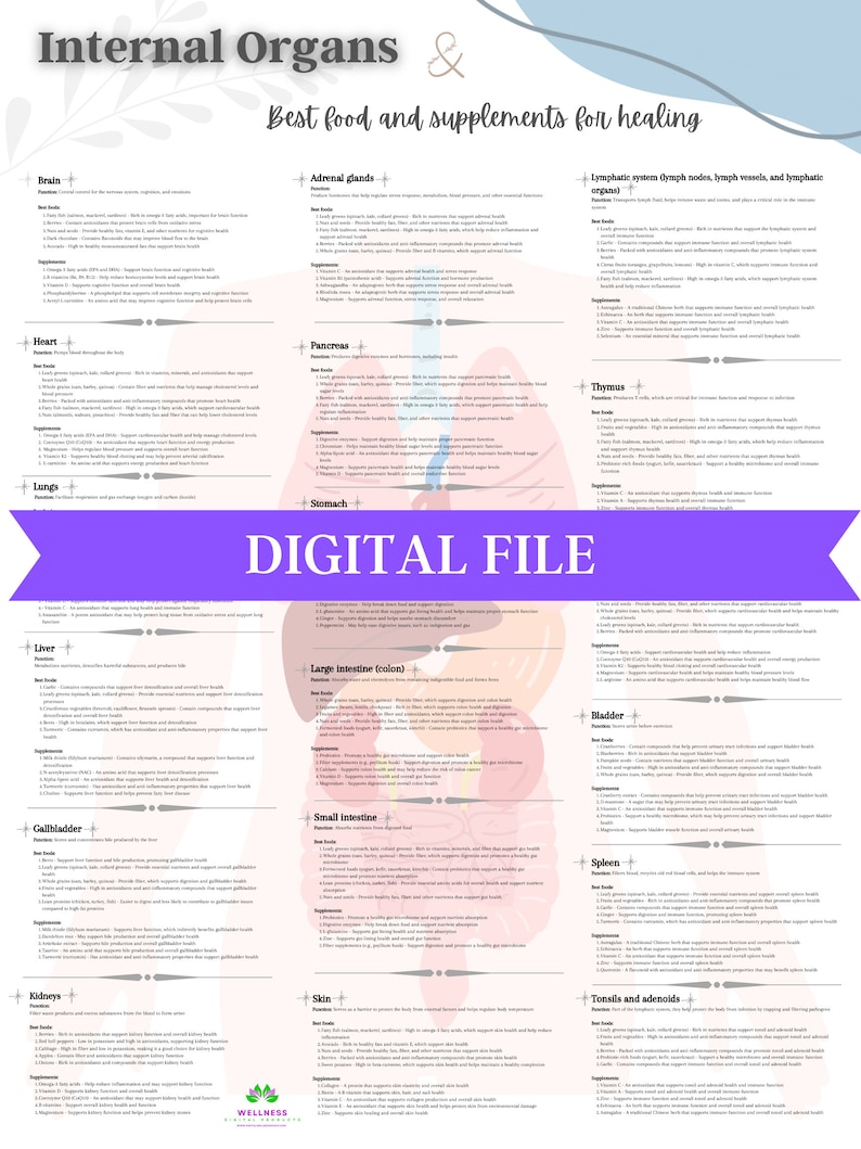 INTERNAL ORGANS Healing and Maintenance - Etsy