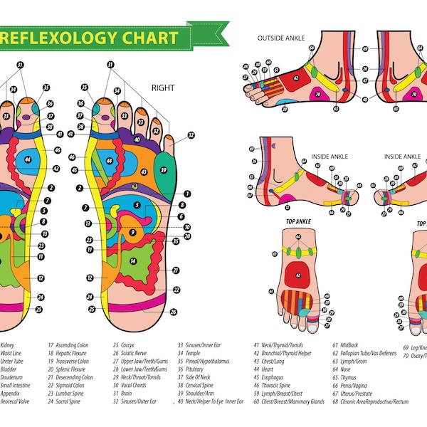 Reflexology Poster - Etsy