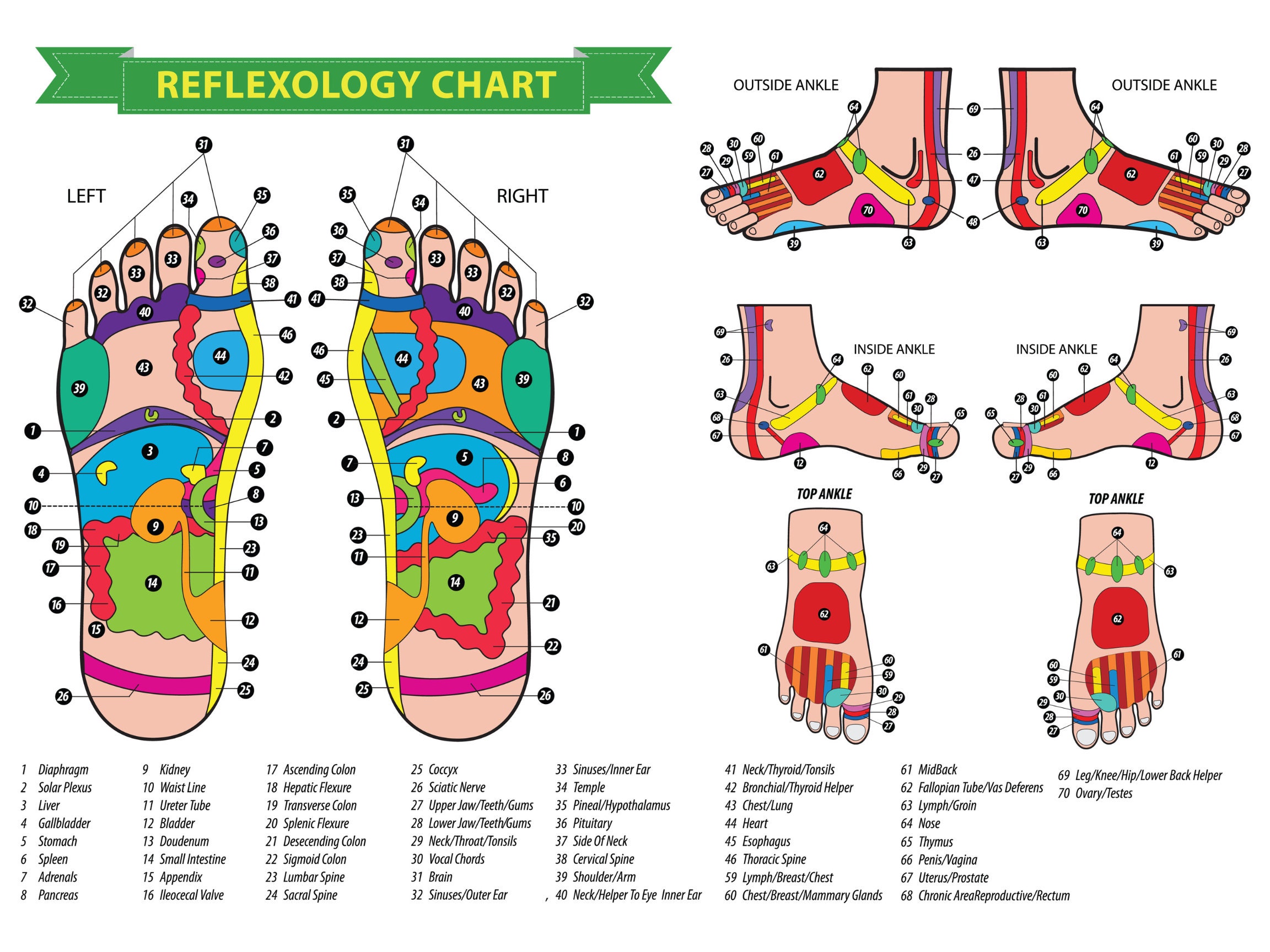 Foot Reflexology Chart Poster Size 24 X 18 - Etsy Canada