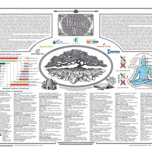 The Healing Web Healing Chart ONLY Digital Poster Size BOTH - Etsy