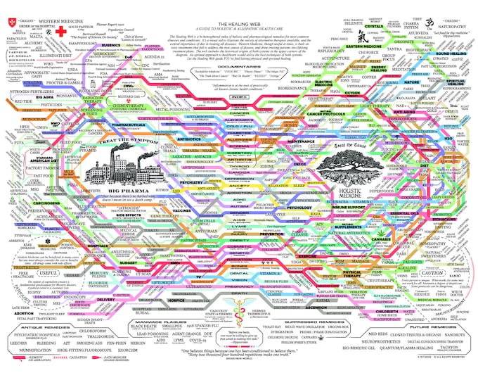 HEALING WEB the Healing Web Digital Download High-quality Digital ...