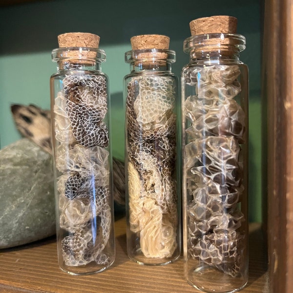 Snake Shed Jewelry - Etsy