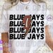 Blue Jays Png, Game Day Png, Preppy Mascot, Blue Jays Football Png ...