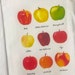 Apple Variety Tea Towel | Apple Variety Kitchen Towel | Housewarming ...