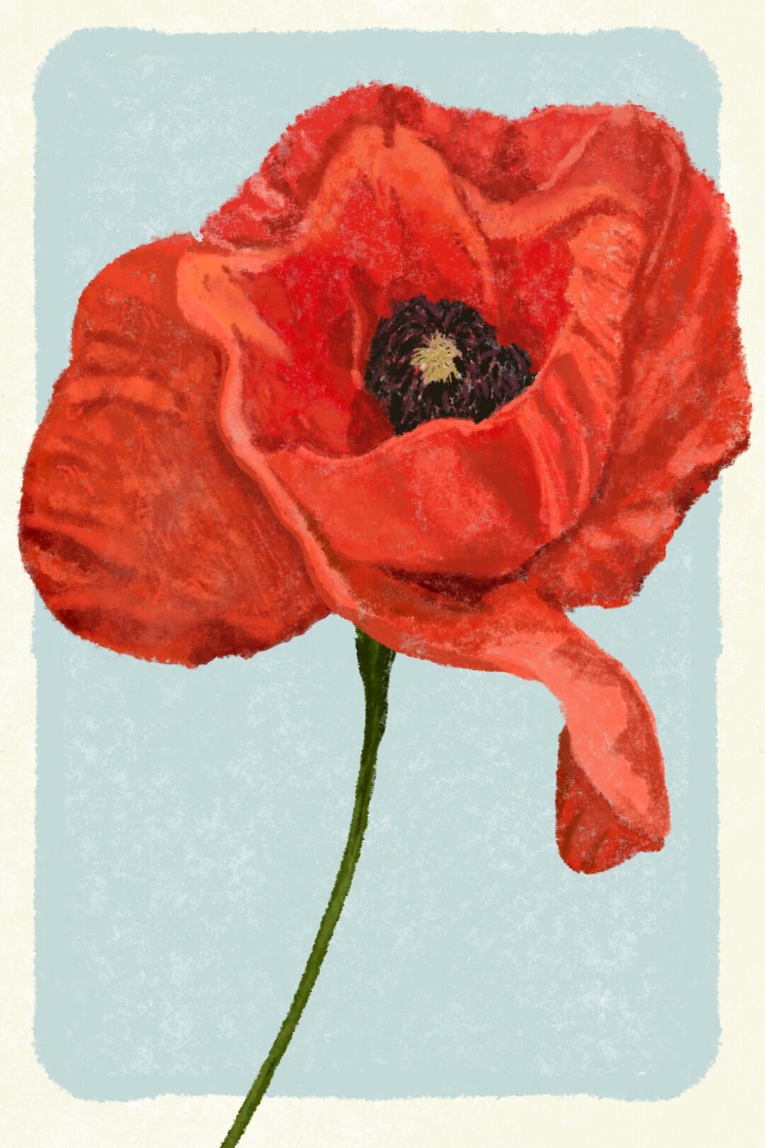 Poppy Flower Illustrated Mini Art Print - Etsy