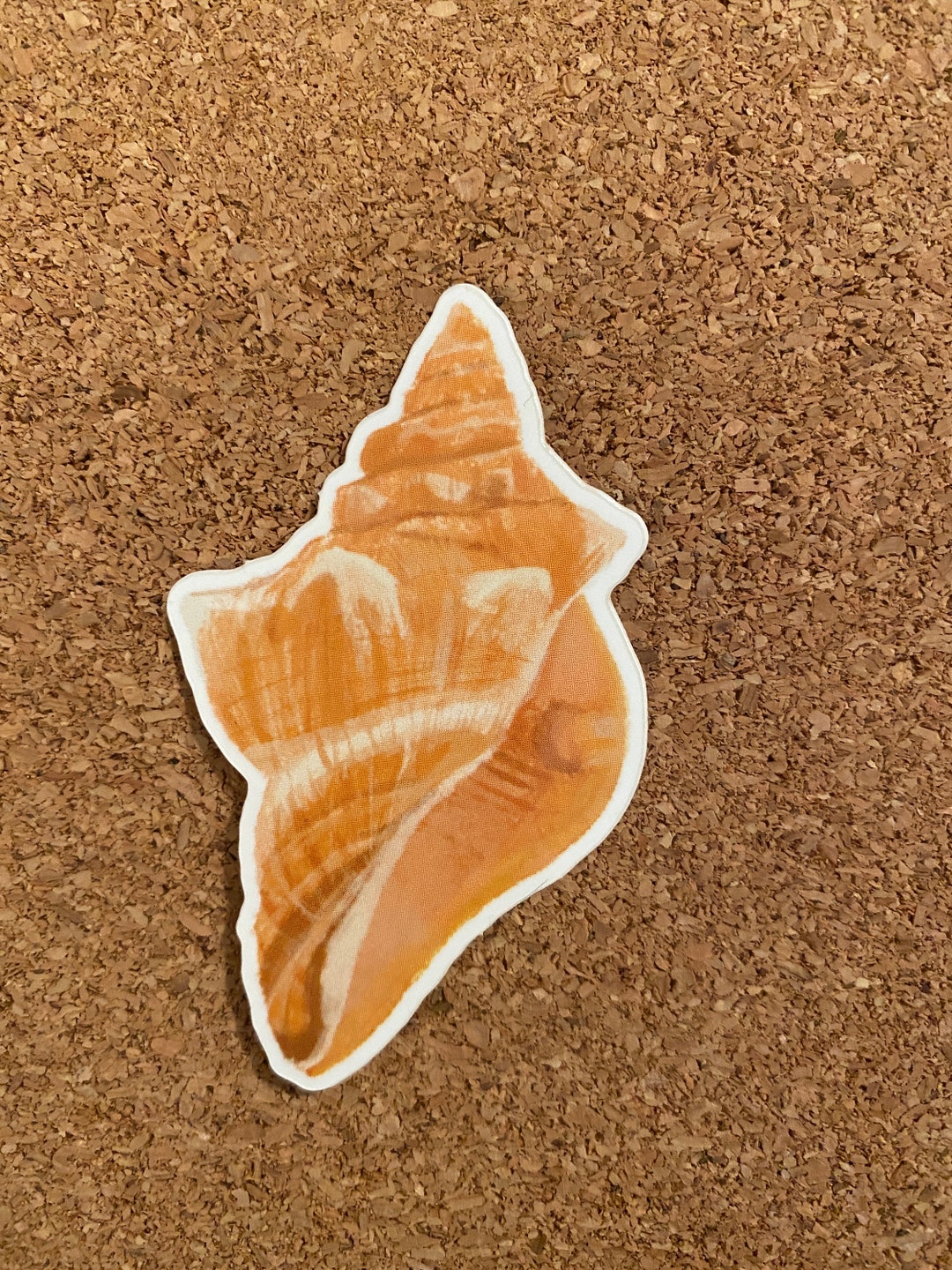 Seashell Vinyl Sticker | Waterproof, Water Bottle, Laptop, Diecut ...