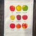 Apple Variety Tea Towel Apple Variety Kitchen Towel Housewarming Gift ...